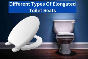 Different Types Of Elongated Toilet Seats(Name | Shapes)2025